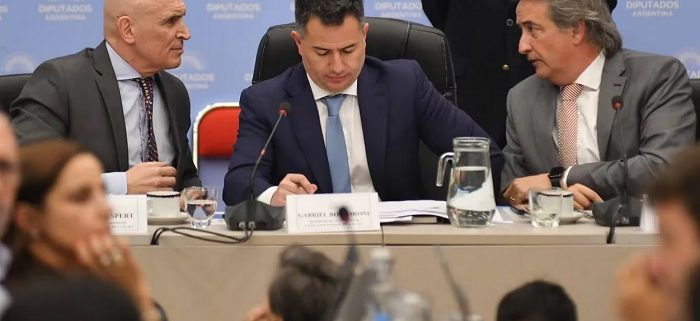 Diario Del Oeste Ingresó Al Congreso La Nueva Versión De La Ley